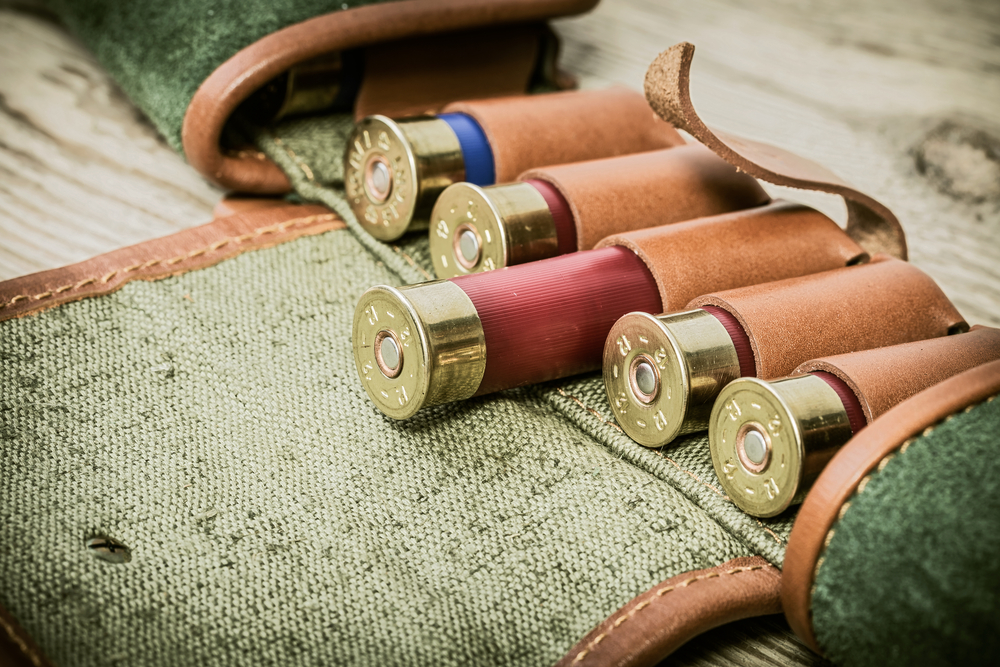 Schrotpatronen - Wissen für die Jägerprüfung